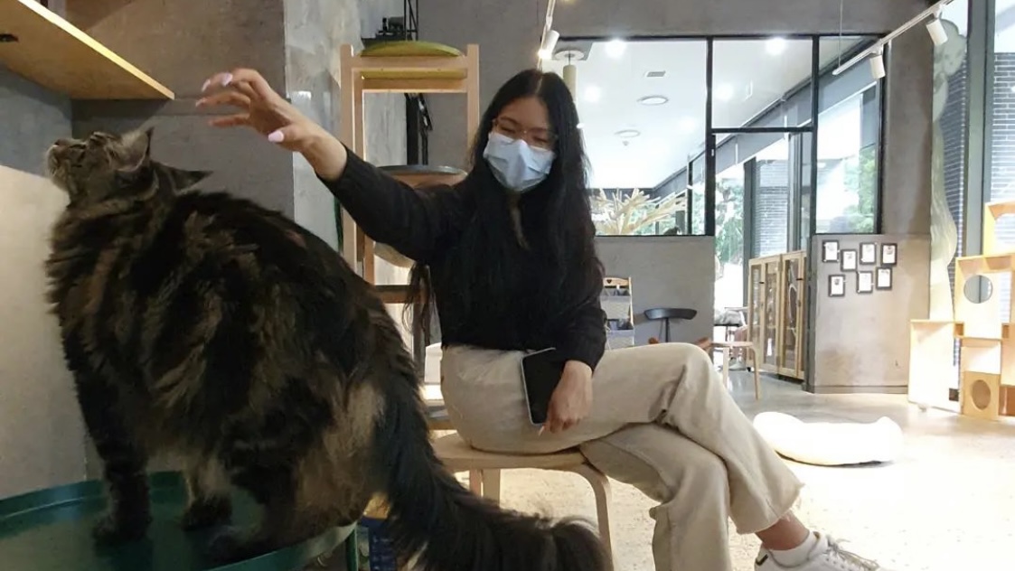 COMP1521 25T1 — Meet the 25T1 Team!